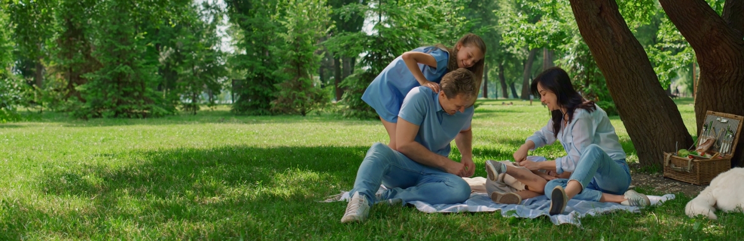 Professional Spider Control in Birmingham, AL | BPMC